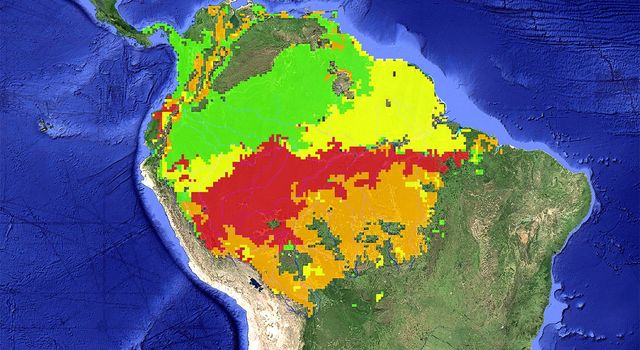NASA finds Amazon drought leaves long legacy of damage | Climate Change